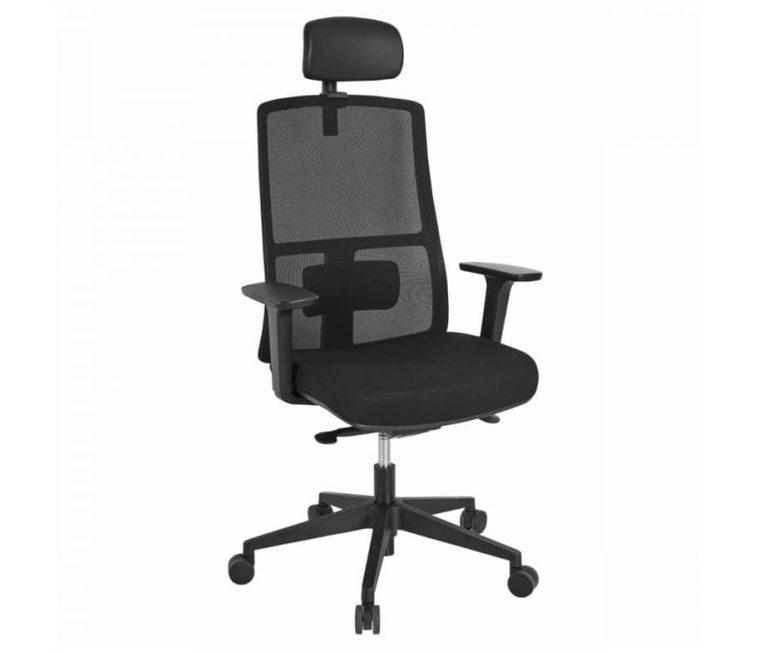 Executive Office Chairs | Stylish & Robust Design
